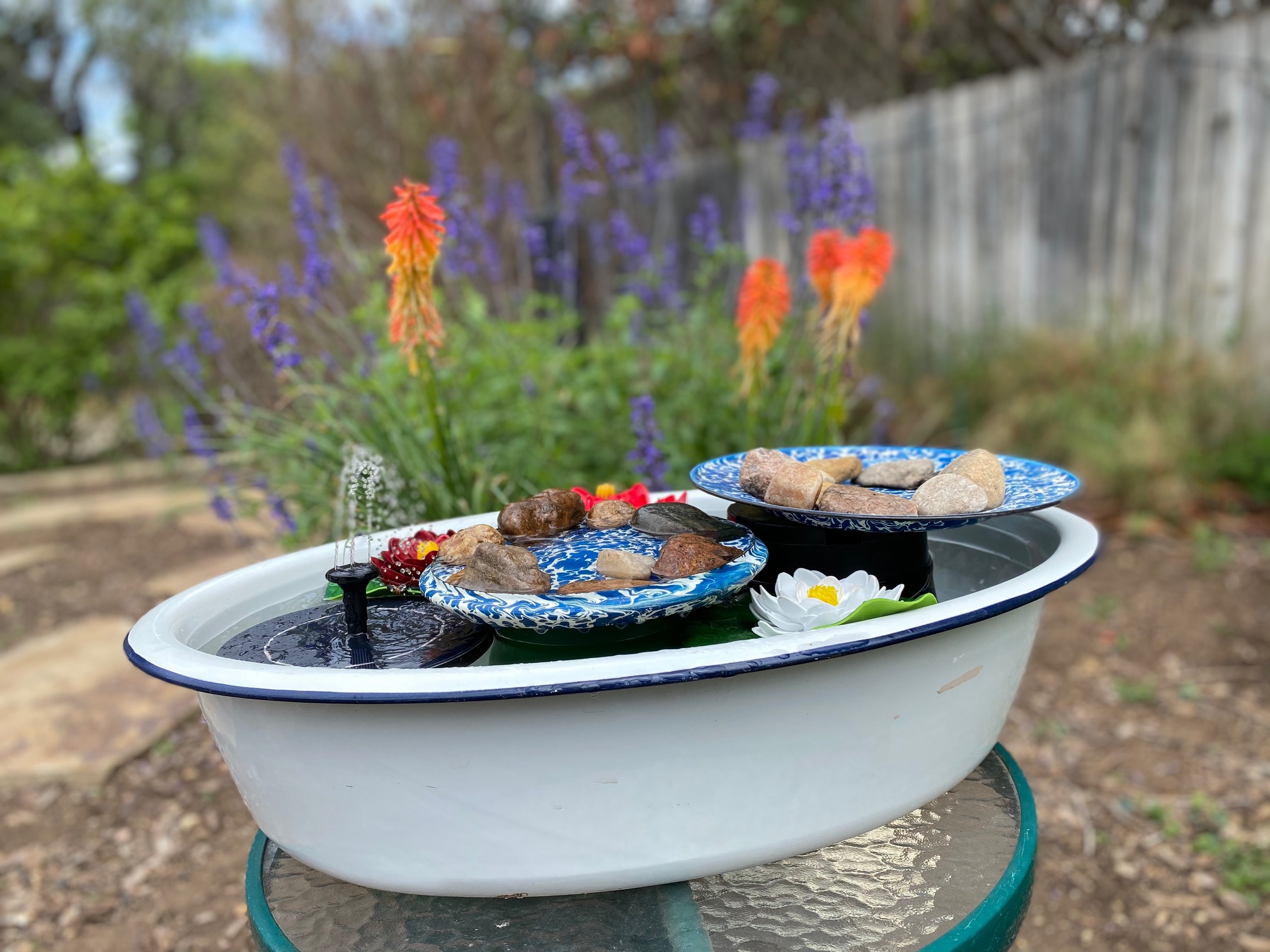 DIY: Create Your Own Hummingbird Spa - Neighborhood News