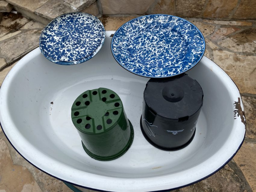 DIY: Create Your Own Hummingbird Spa - Neighborhood News